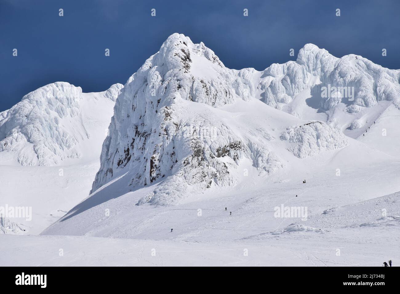 Climbers below the steep icy summit area of Mt Hood, Oregon's highest ...