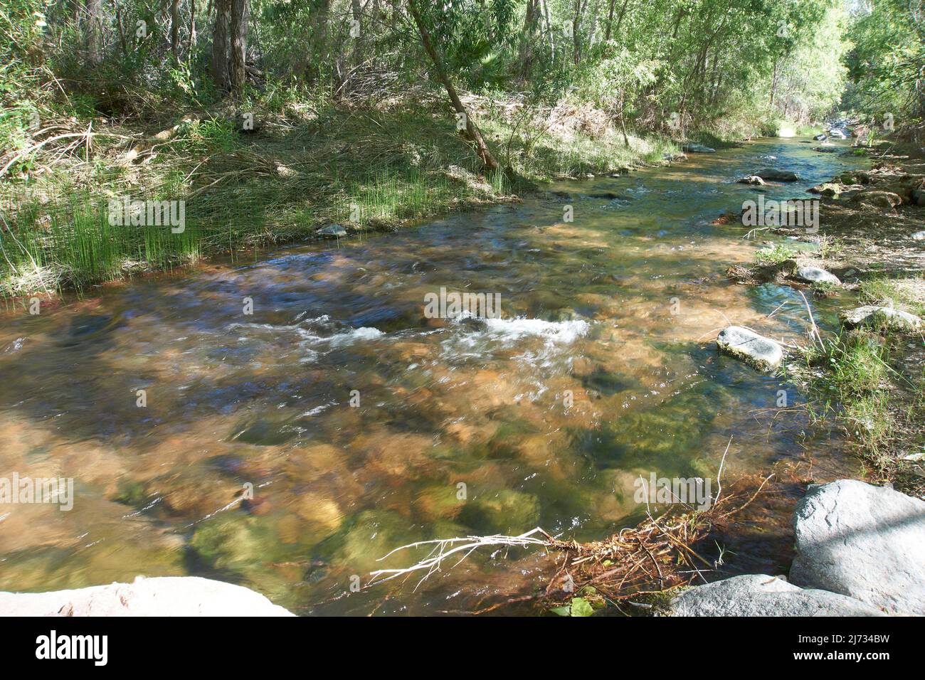 Stream running through land in Winkleman, Arizona, USA Stock Photo - Alamy