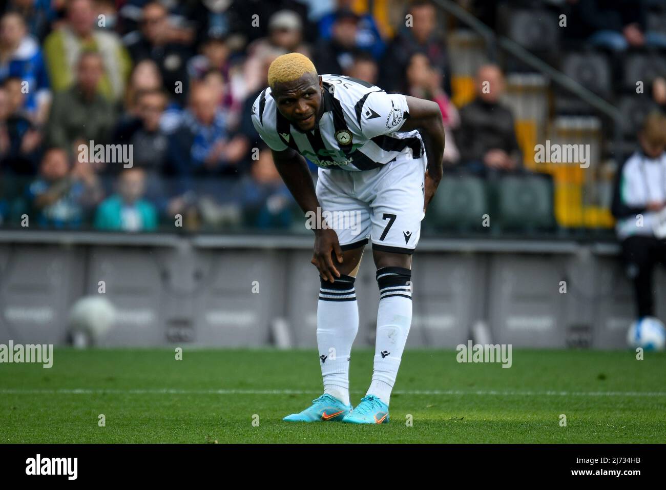 Isaac success portrait hi-res stock photography and images - Alamy