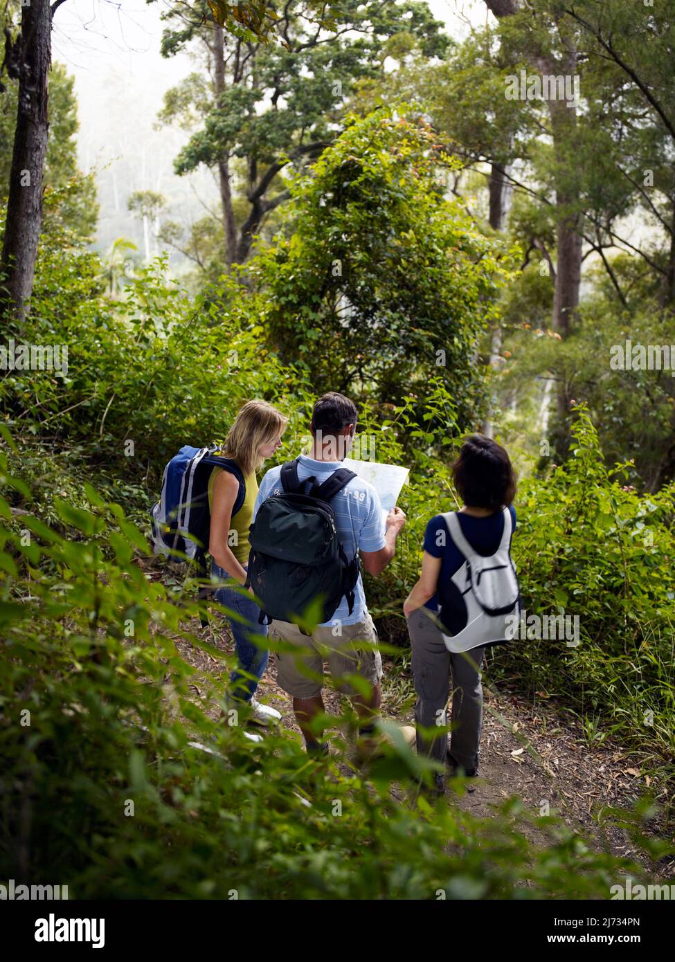 Adult hikers in wilderness Stock Photo - Alamy