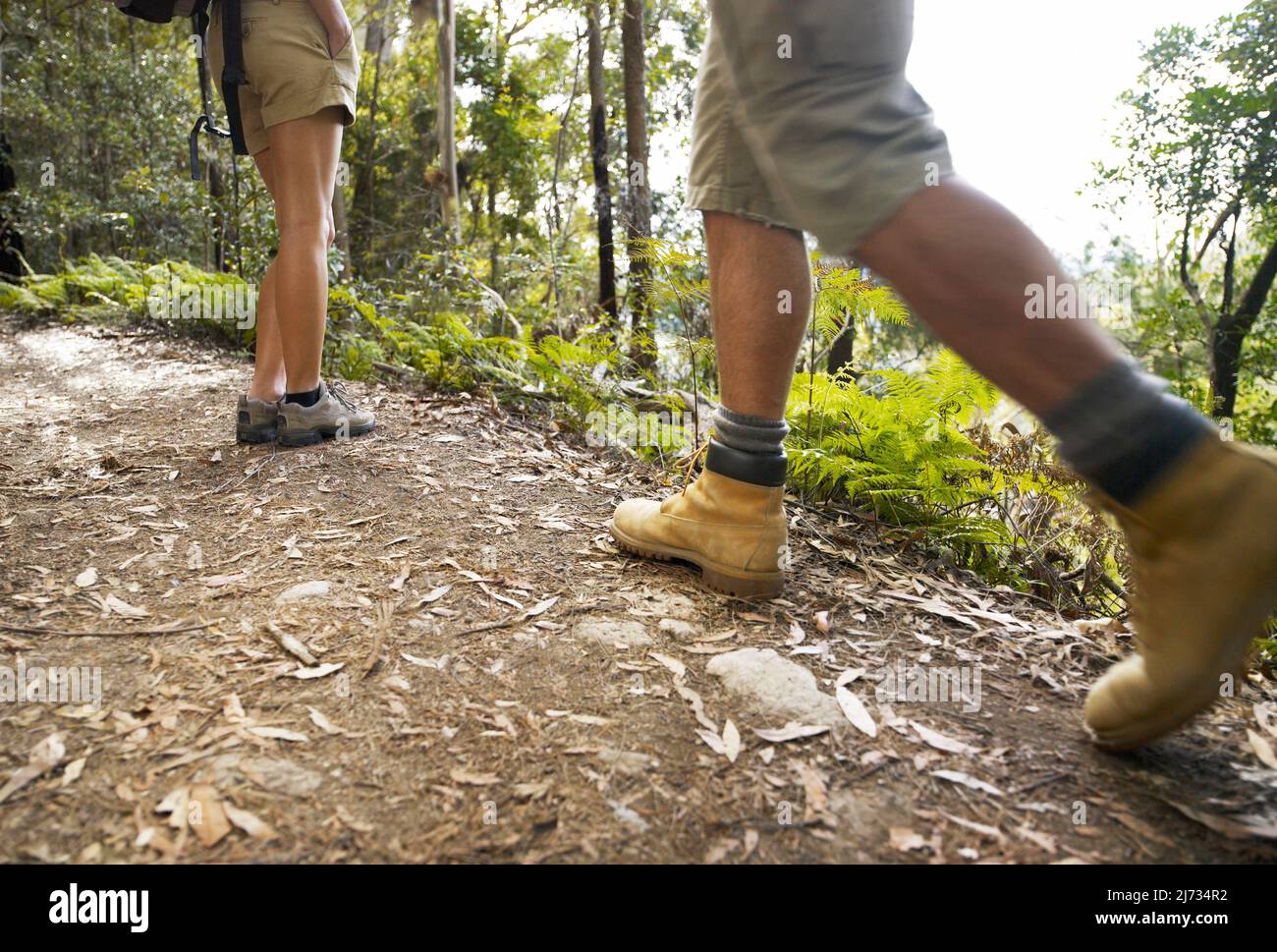 Adult hikers on path in wilderness Stock Photo - Alamy