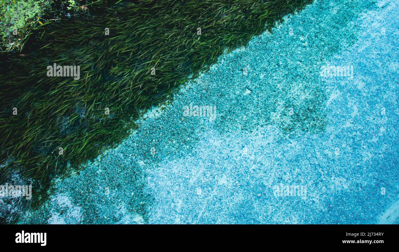 Clear blue water at Rock Springs Run at Kelly Park in Apopka, Florida ...