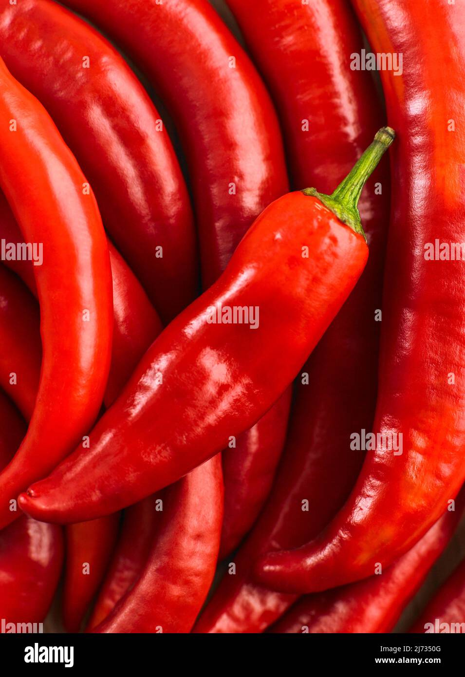Bright red chillies hi-res stock photography and images - Alamy