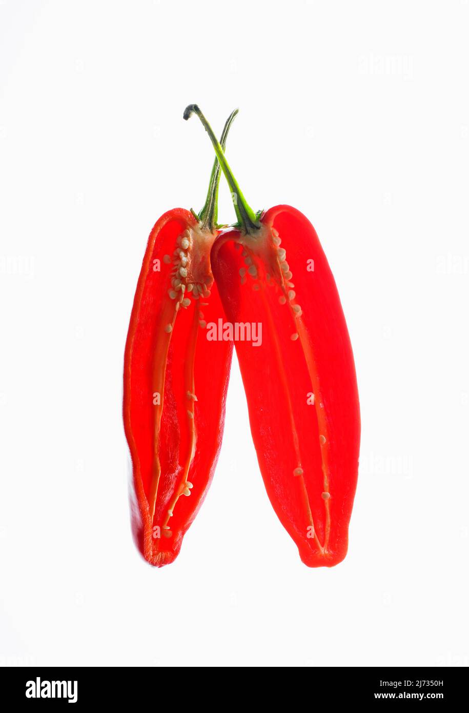 Close up of long red chilli cut in half on clear background Stock Photo ...