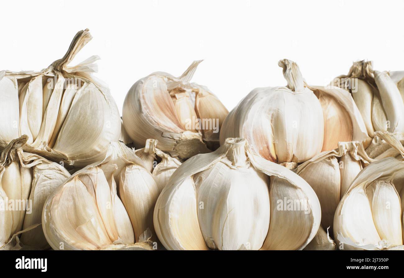 Taste bulbs hi-res stock photography and images - Alamy