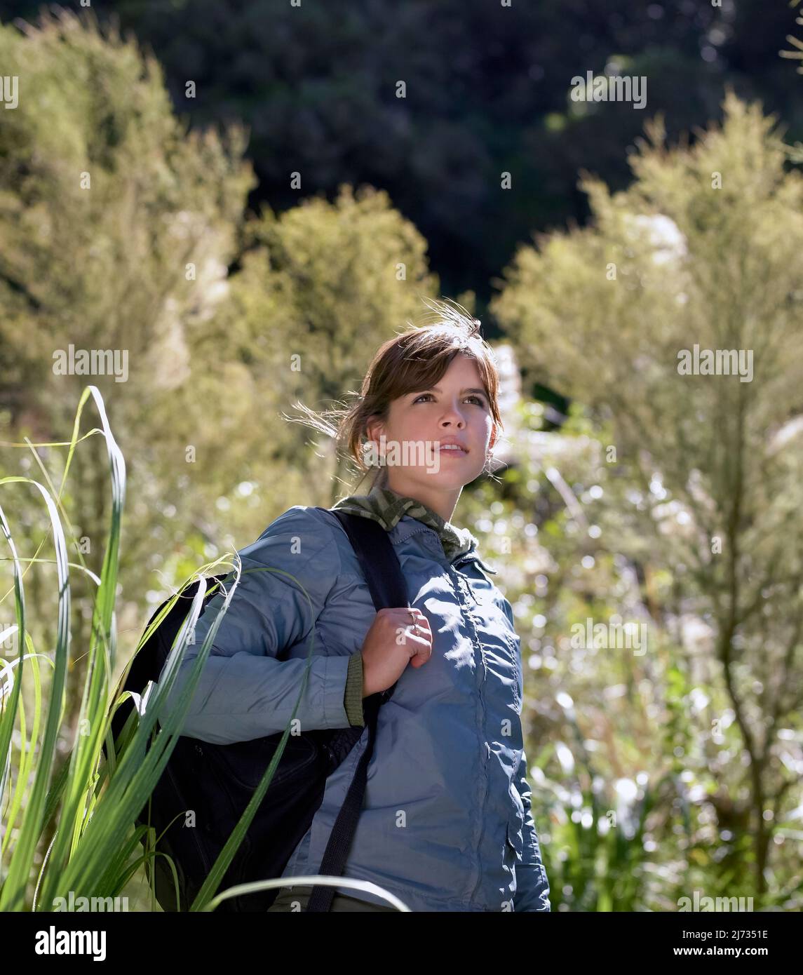 Young woman hiking through native New Zealand bush Stock Photo - Alamy
