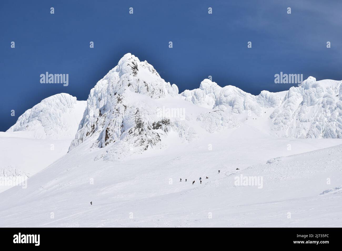 Climbers below the steep icy summit area of Mt Hood, Oregon's highest ...