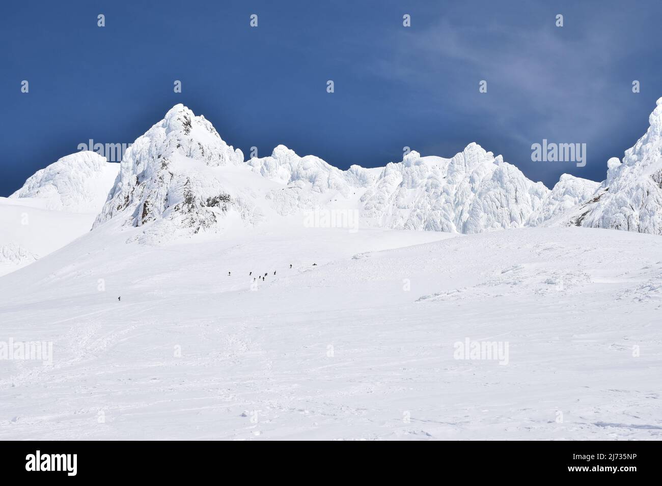 Climbers below the steep icy summit area of Mt Hood, Oregon's highest ...