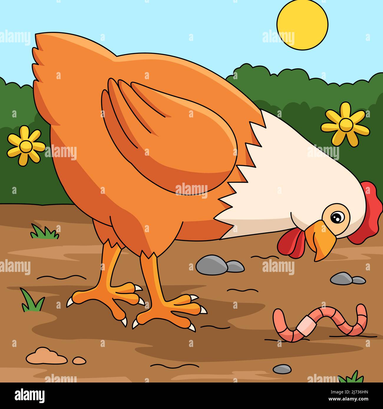 Chicken Colored Cartoon Farm Illustration Stock Vector Image & Art - Alamy