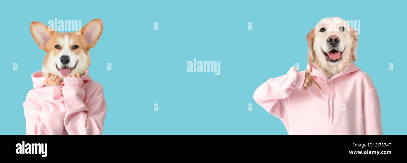Cute dogs with human body on light blue background with space for text ...