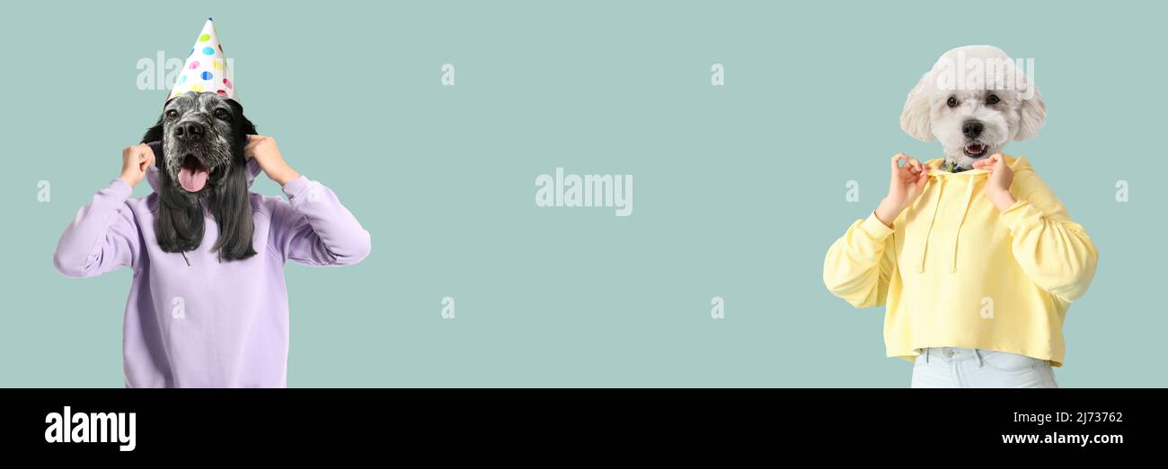 Dogs With Human Body