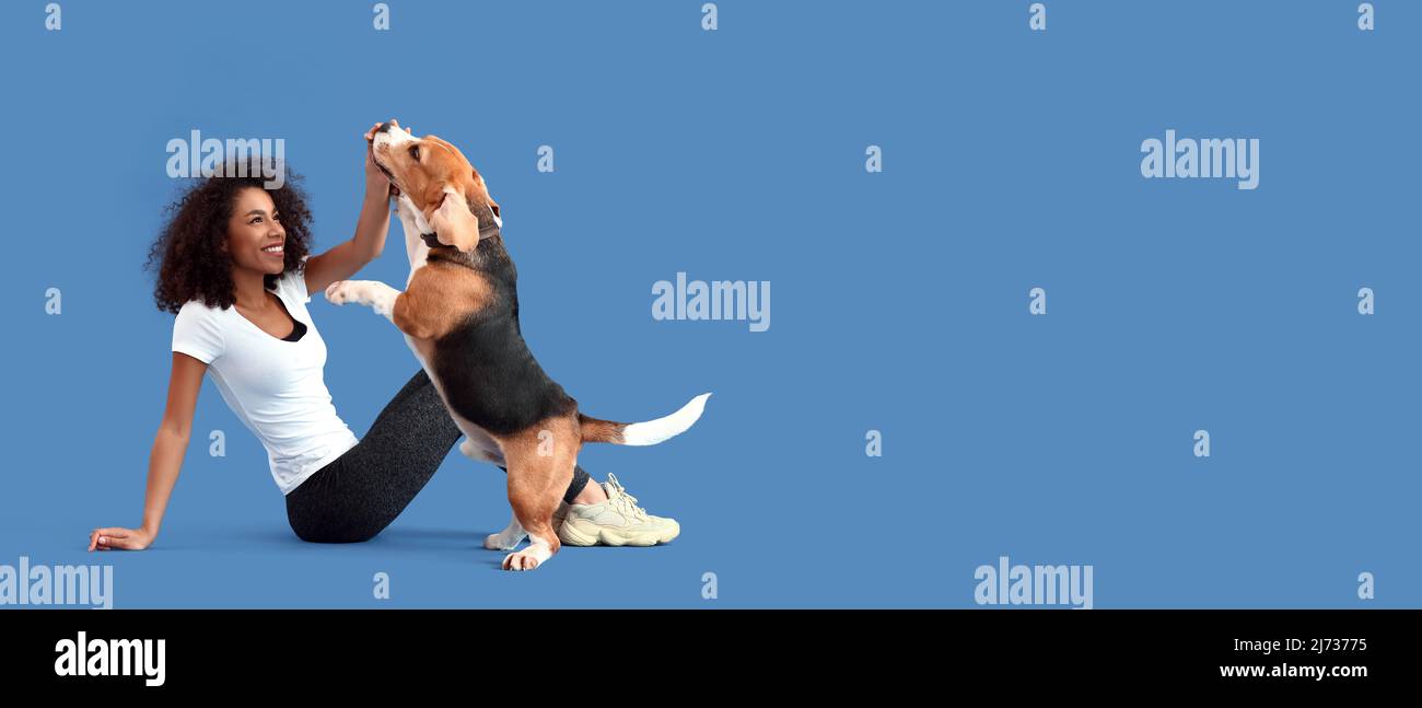 Beautiful African-American woman training her dog on color background ...