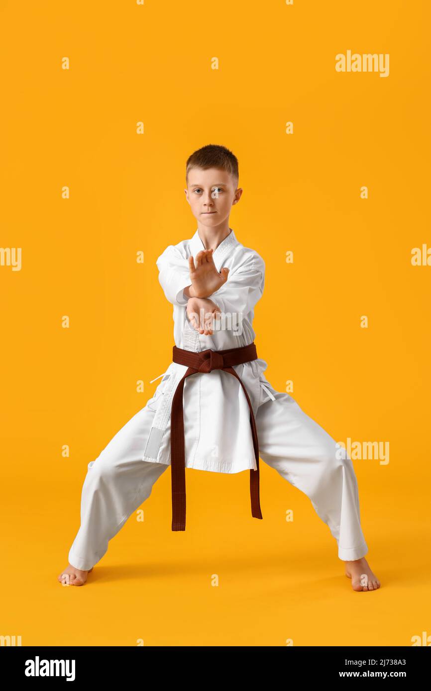 Boy practicing karate on yellow background Stock Photo - Alamy