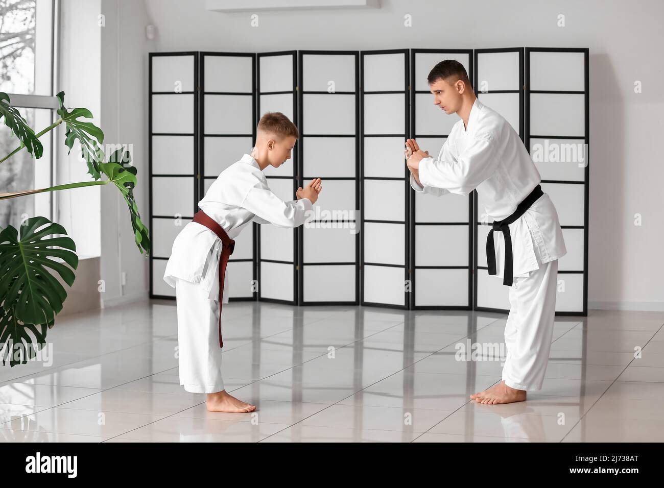Boy and sensei performing ritual bow before practicing karate in dojo ...