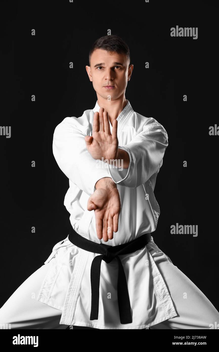 Karate kaikan hi-res stock photography and images - Alamy