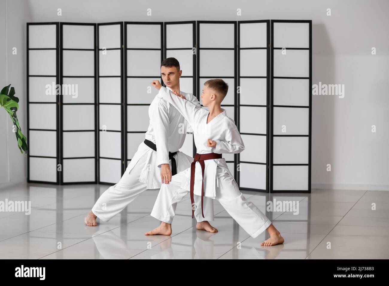 Japanese karate teacher in uniform hi-res stock photography and images ...