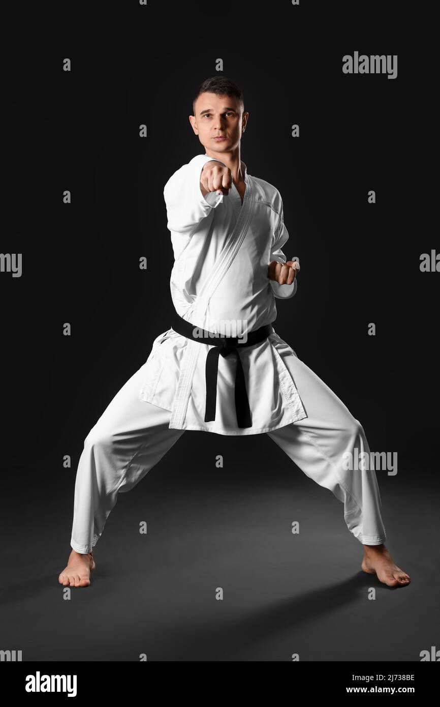 Karate kaikan hi-res stock photography and images - Alamy