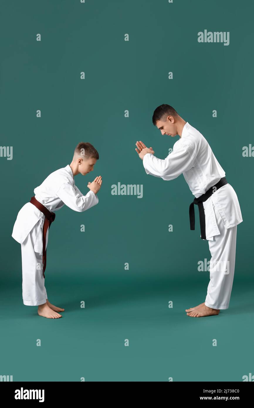 Boy and sensei performing ritual bow before practicing karate on green ...