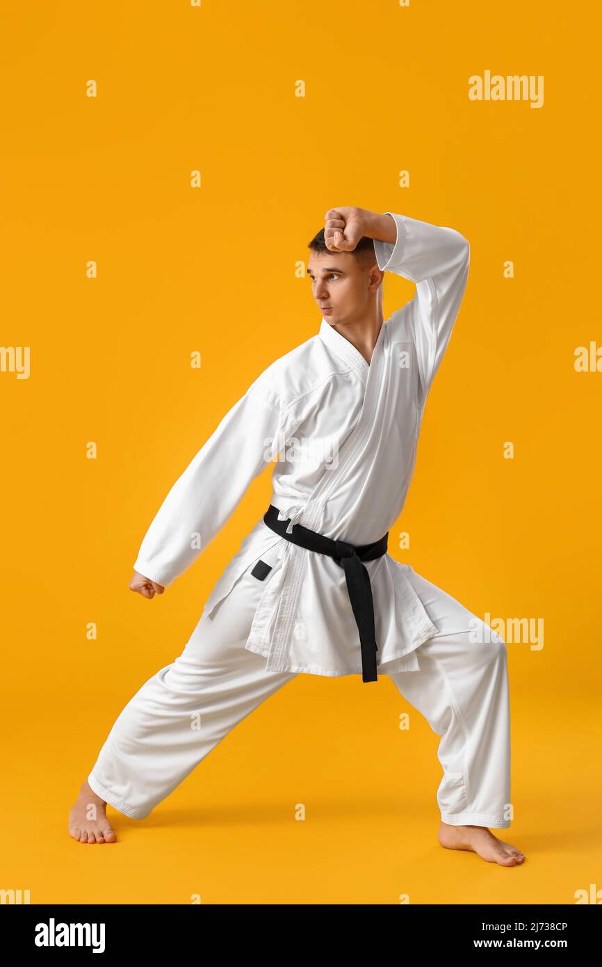 Karate kaikan hi-res stock photography and images - Alamy