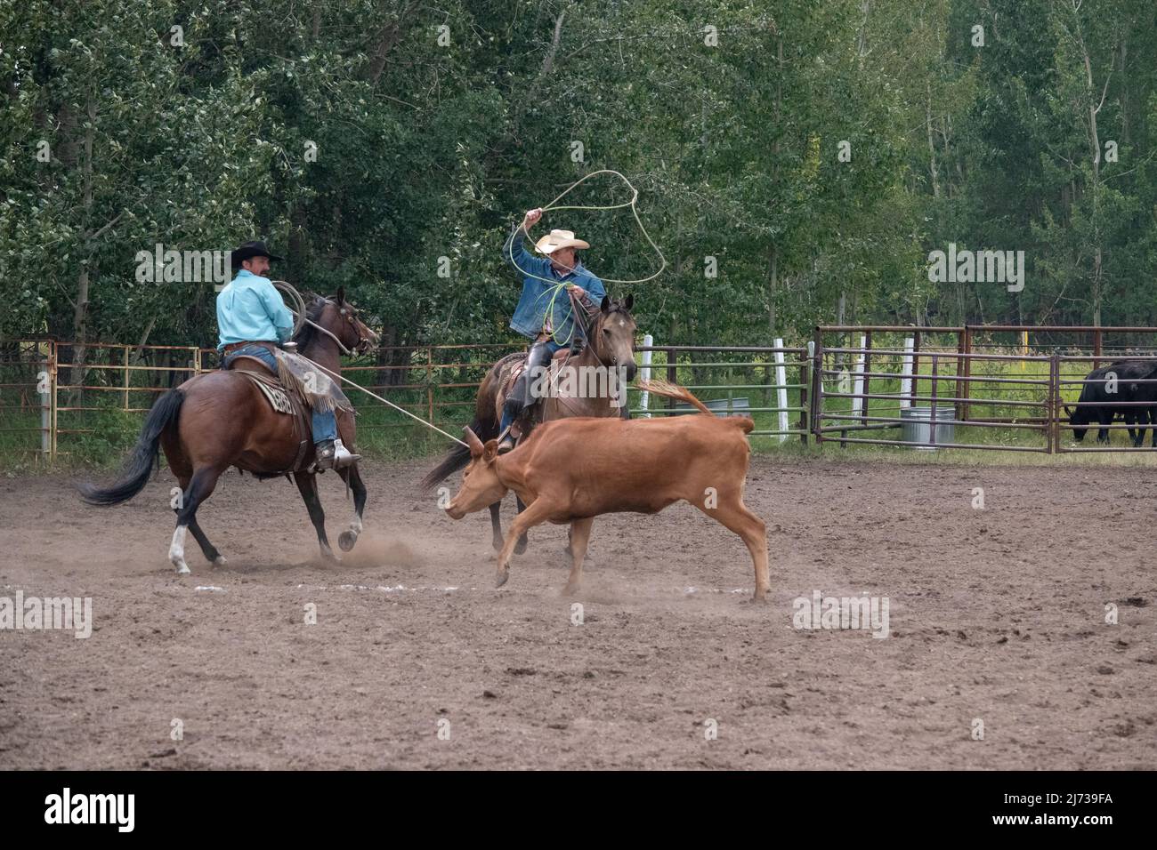 Ranching heritage hi-res stock photography and images - Alamy