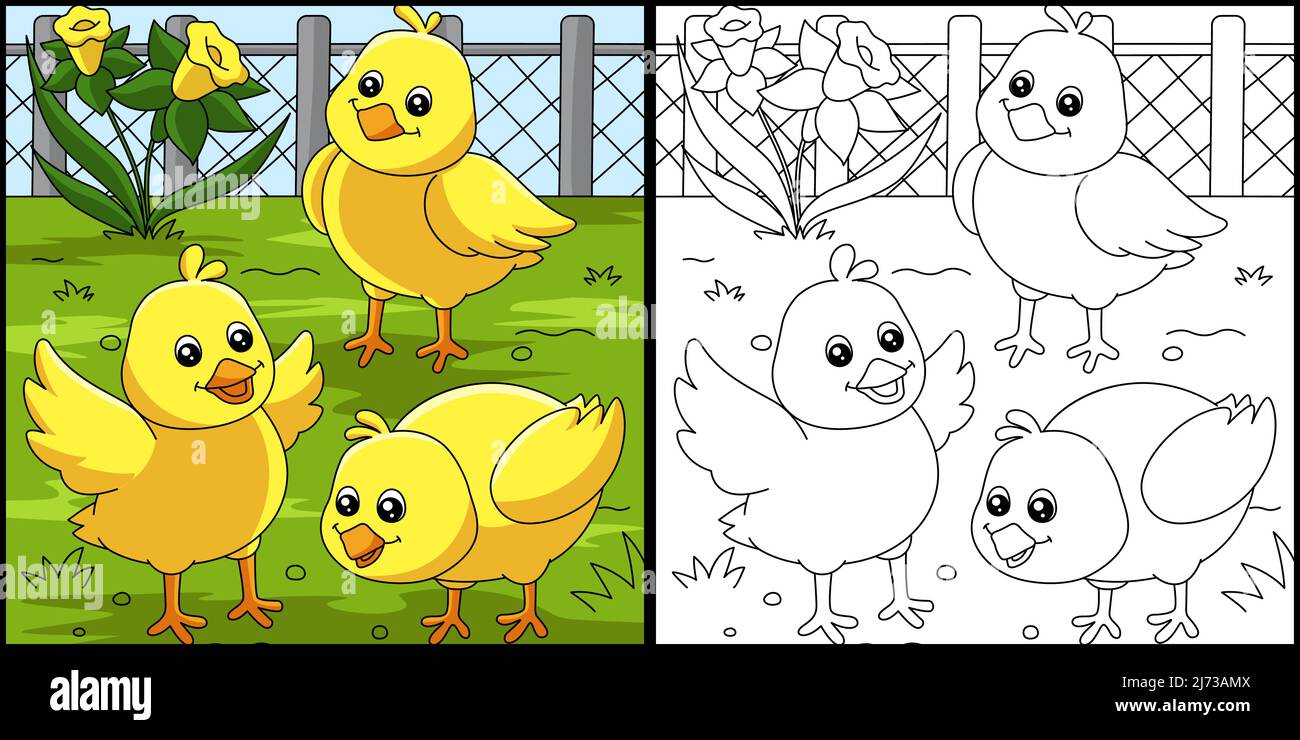 Chicks Coloring Page Colored Illustration Stock Vector Image & Art - Alamy