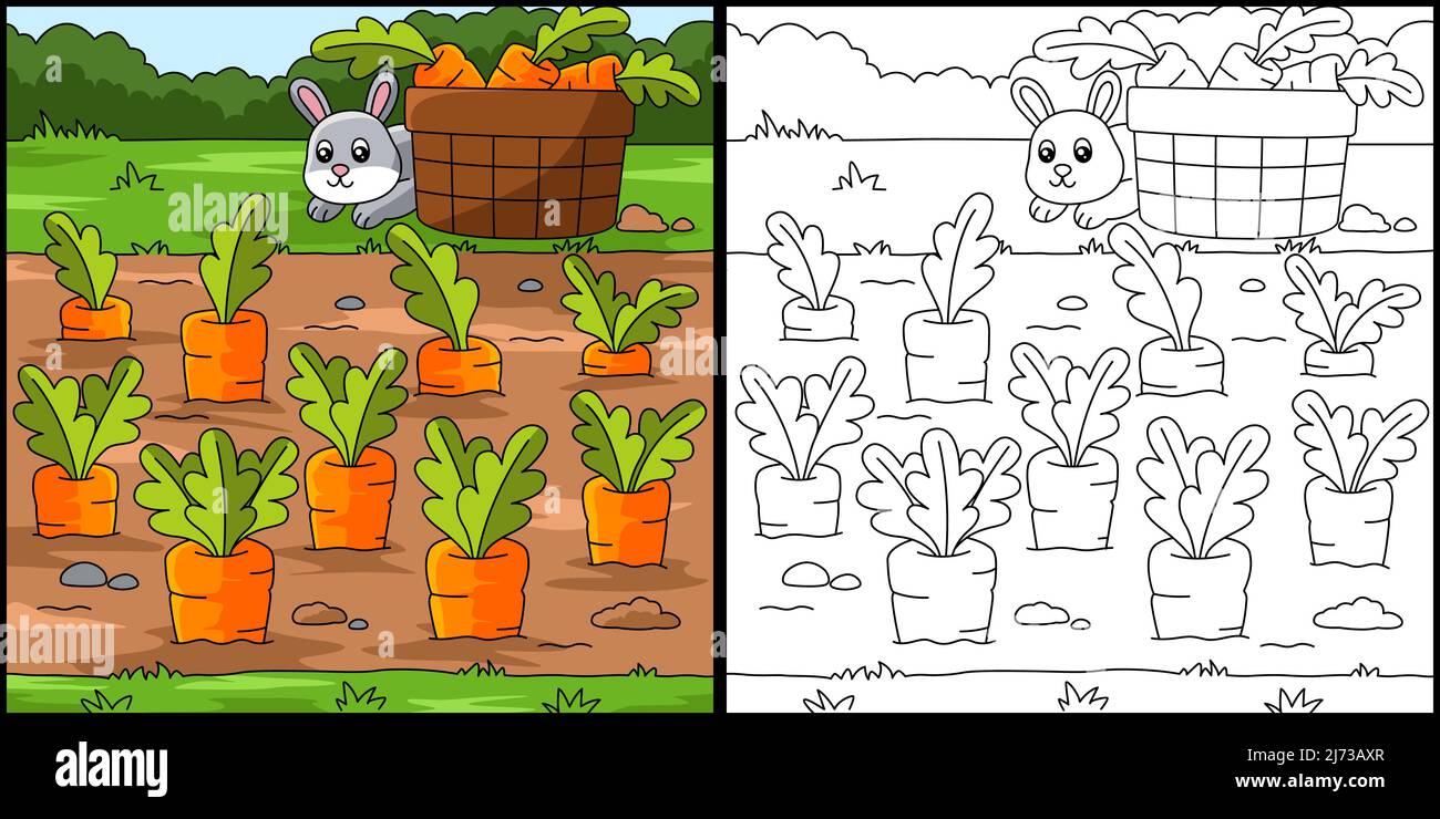 Carrot Field Coloring Page Colored Illustration Stock Vector Image ...