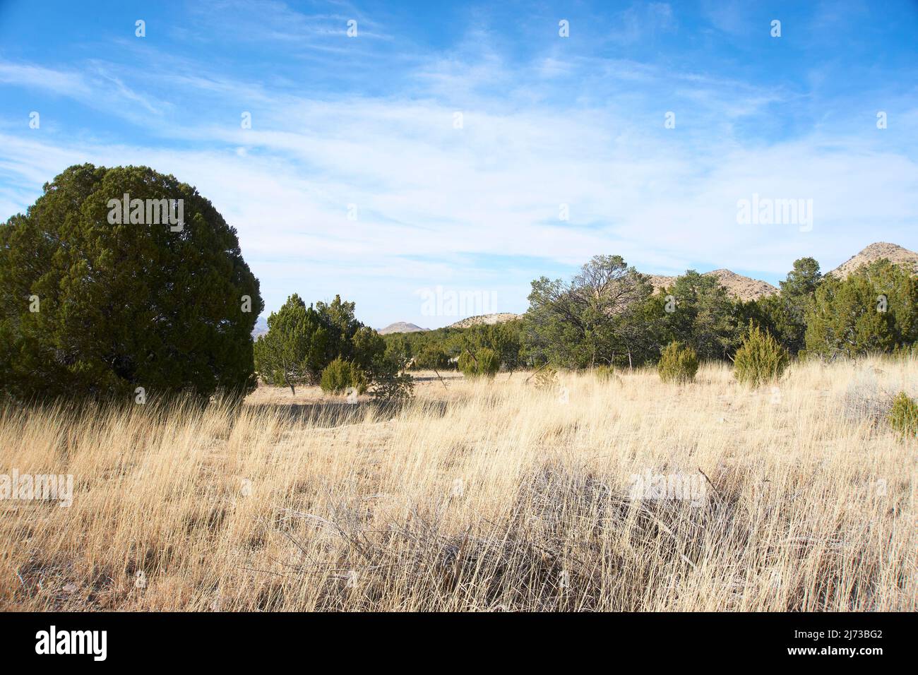 Abandoned Kelly Mine area in Magdalena, New Mexico Stock Photo - Alamy