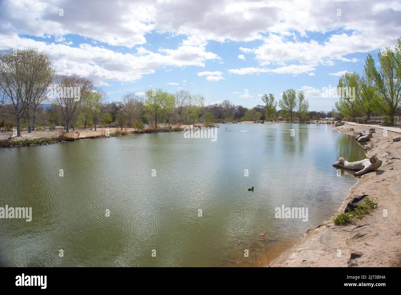 Tingley Beach in Albuquerque, New Mexico Stock Photo - Alamy
