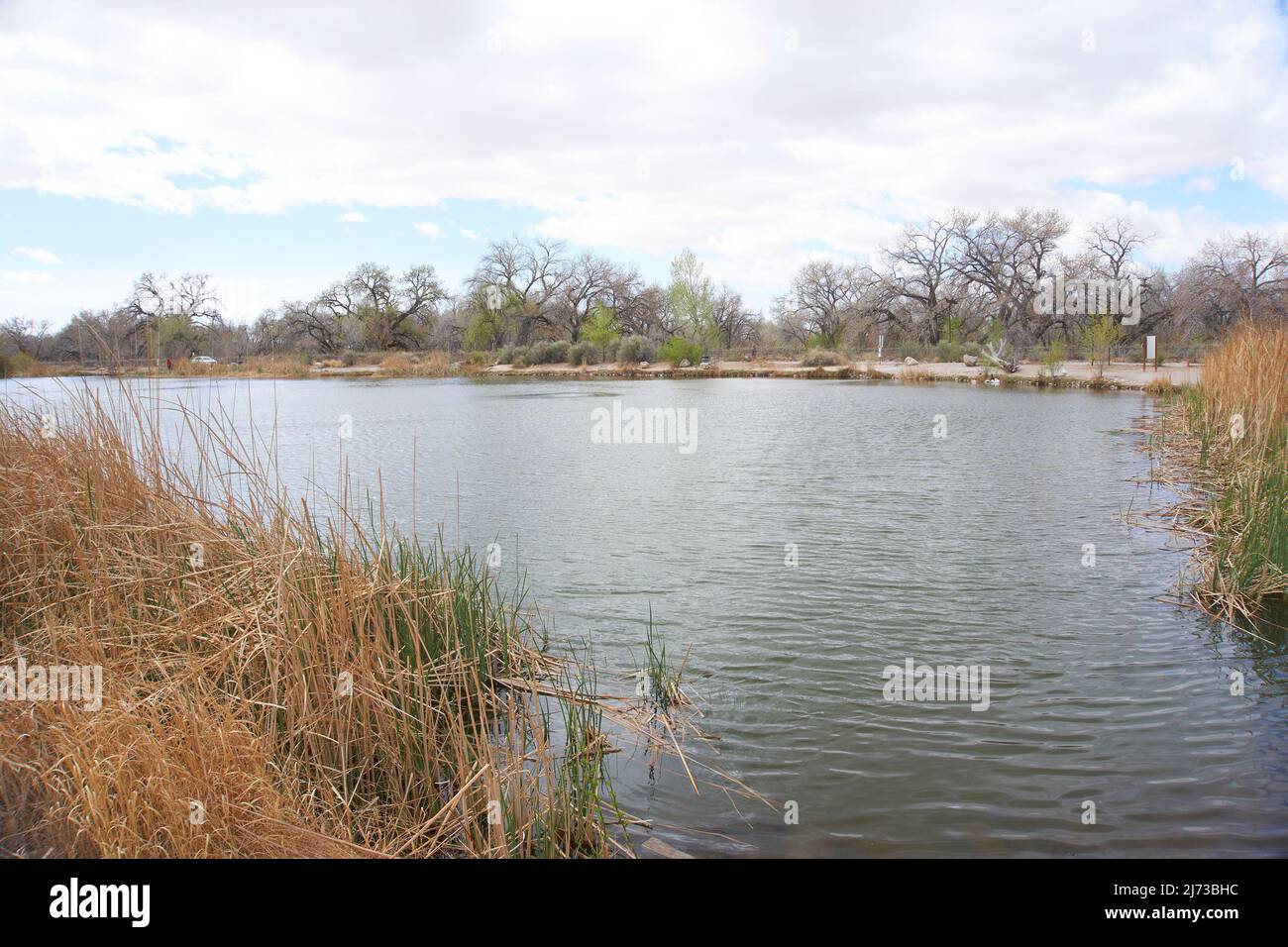 Albuquerque tingley beach hi-res stock photography and images - Alamy