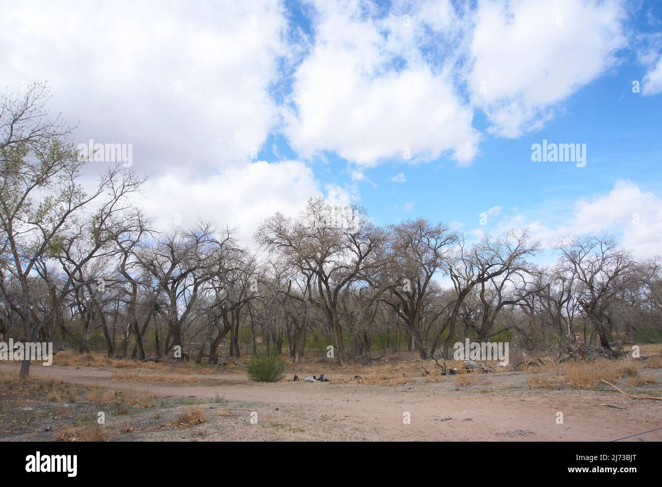 Albuquerque tingley park hi-res stock photography and images - Alamy