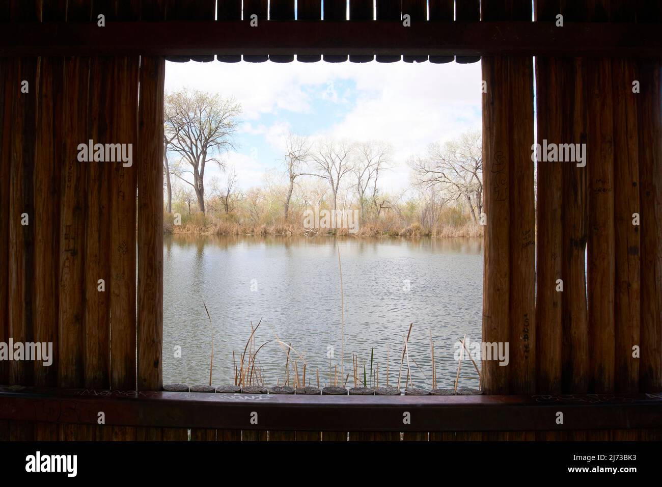 Tingley Beach in Albuquerque, New Mexico Stock Photo - Alamy