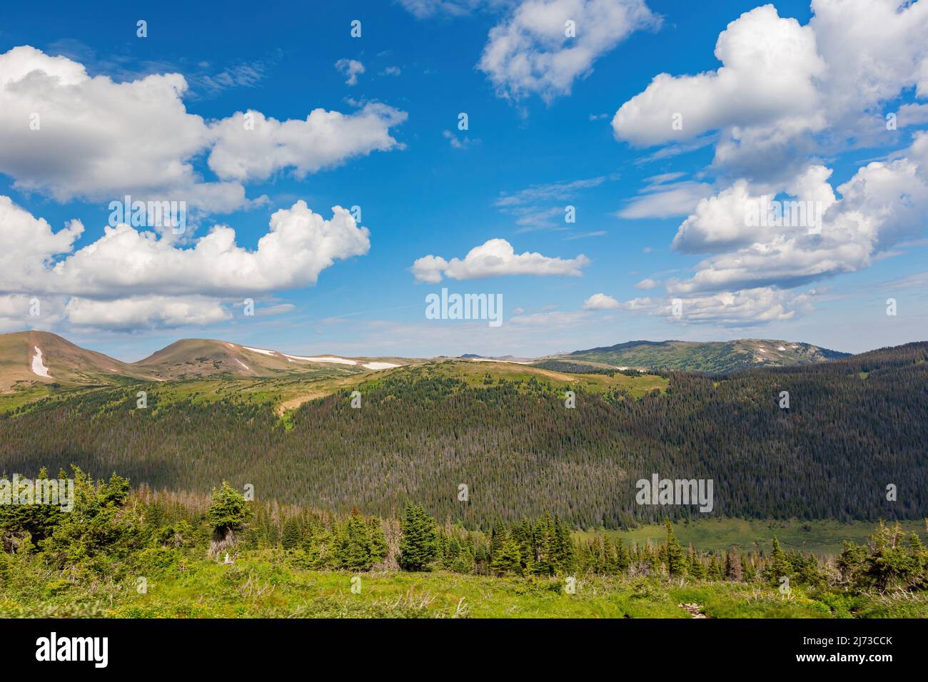 Superb landscape of Alpine Ridge Trail at Rocky Mountain National Park ...