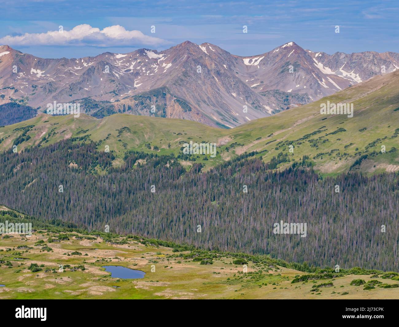 Superb landscape of Alpine Ridge Trail at Rocky Mountain National Park ...