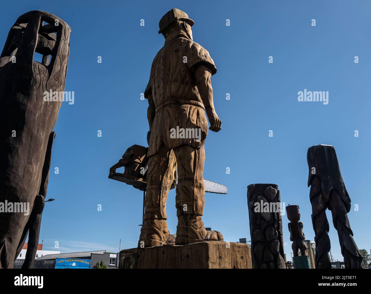 The Pine Man an instalation by Tokoroa Artist Peter Dooley.It was ...