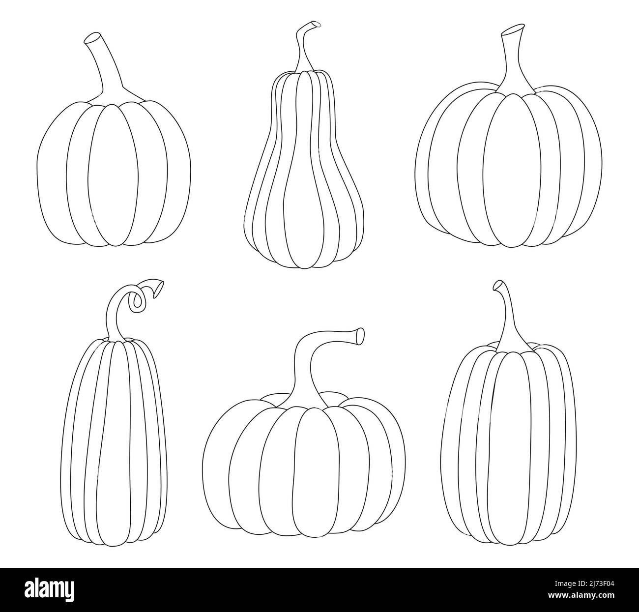 A set of black and white linear pumpkins. Contour outline hand drawn ...