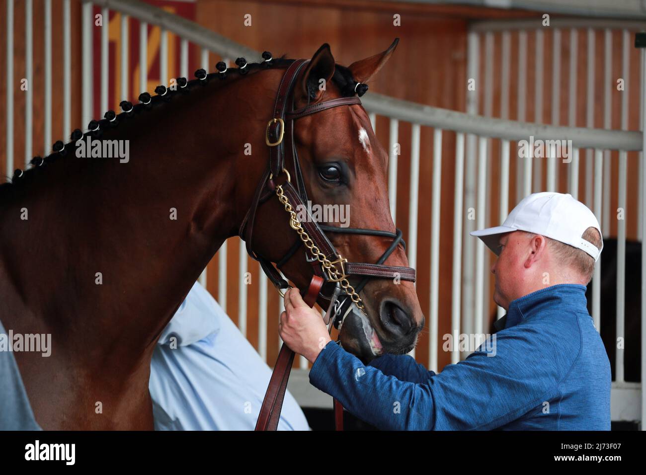 Epicenter horse hi-res stock photography and images - Alamy
