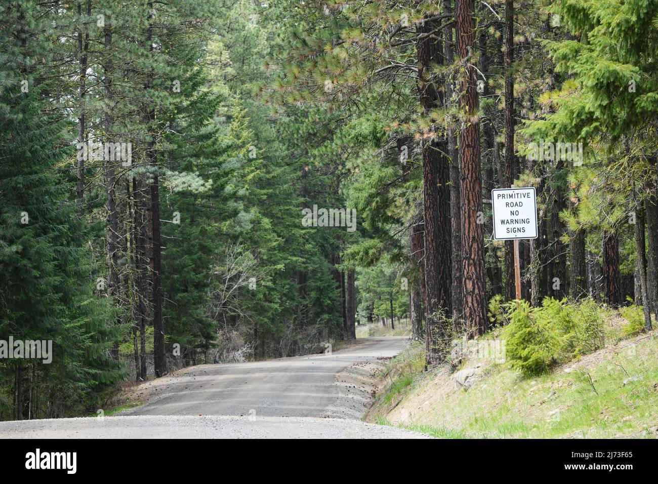 Sign for primitive road with no warning signs. The unpaved road is surrounded by tall trees ...