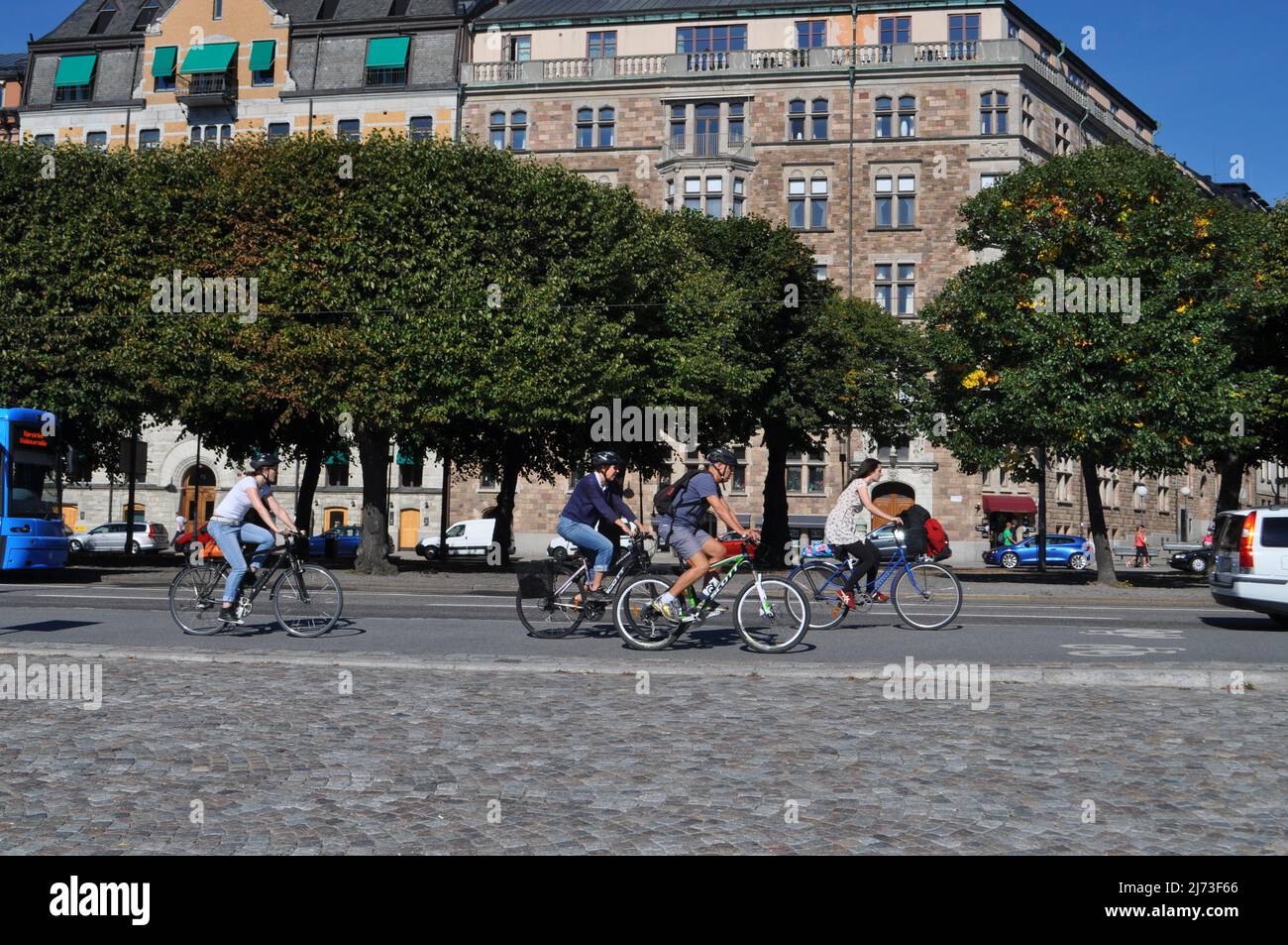 Four people cycling in bike lanes on Strandvägen, Ostermalm waterfront ...