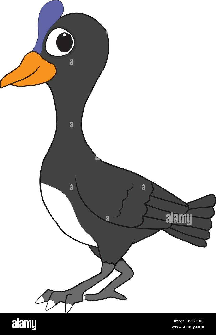 Maleo birds Cut Out Stock Images & Pictures - Alamy