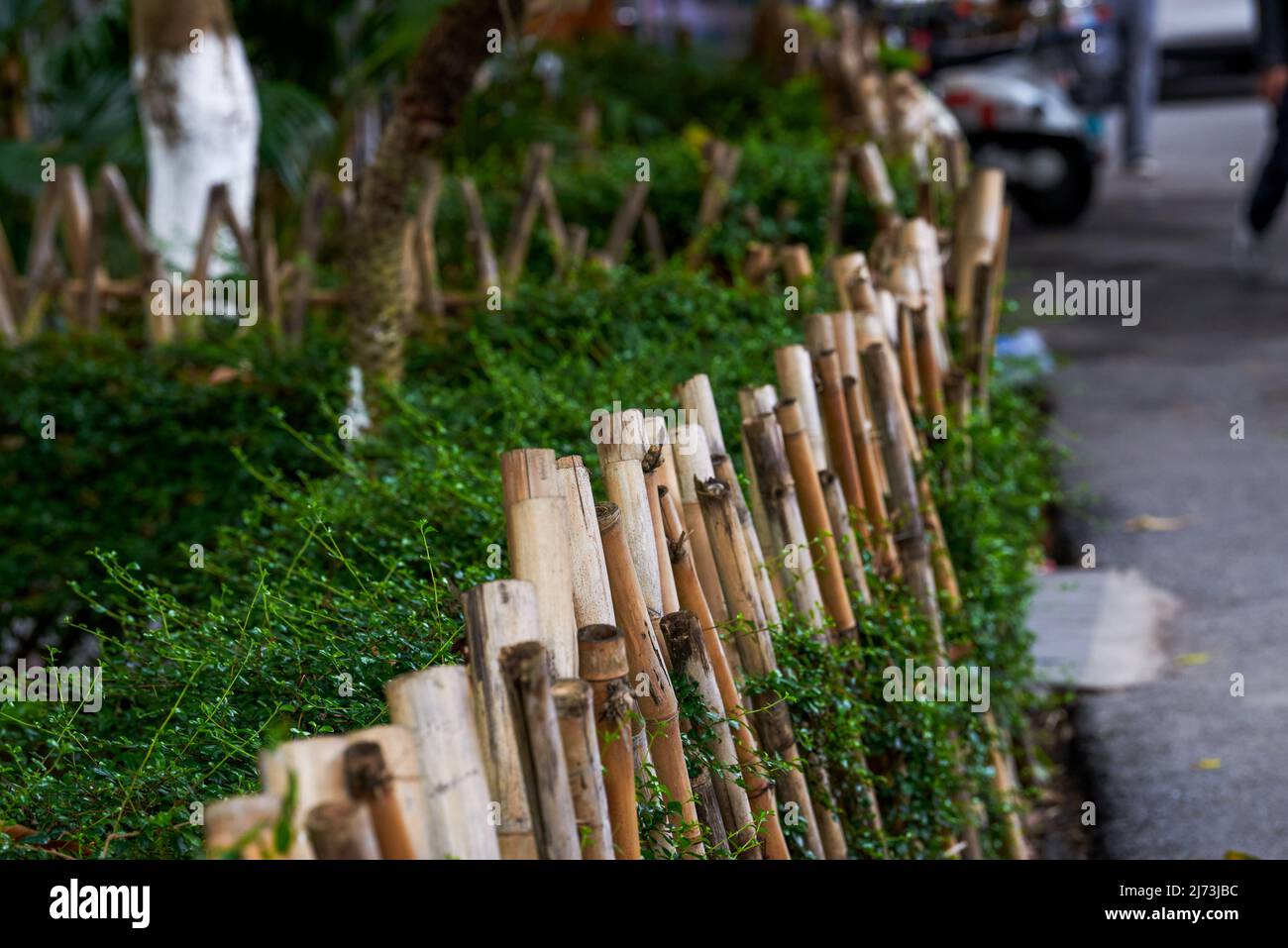 Close-up of bamboo fence fence in a Chinese garden Stock Photo - Alamy