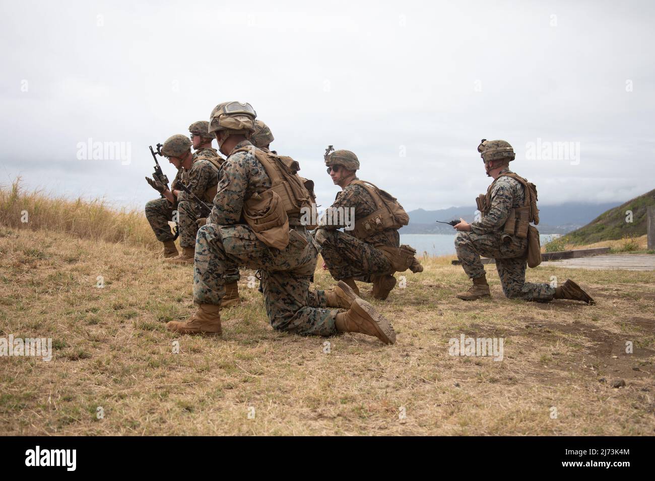 U.S. Marines in the Advanced Infantry Marine Course with Advanced ...