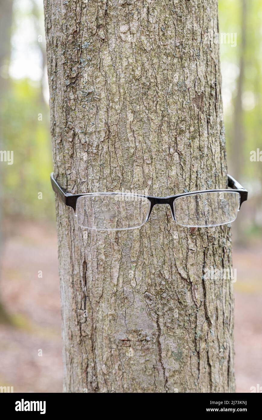Glasses close up forest hi-res stock photography and images - Alamy
