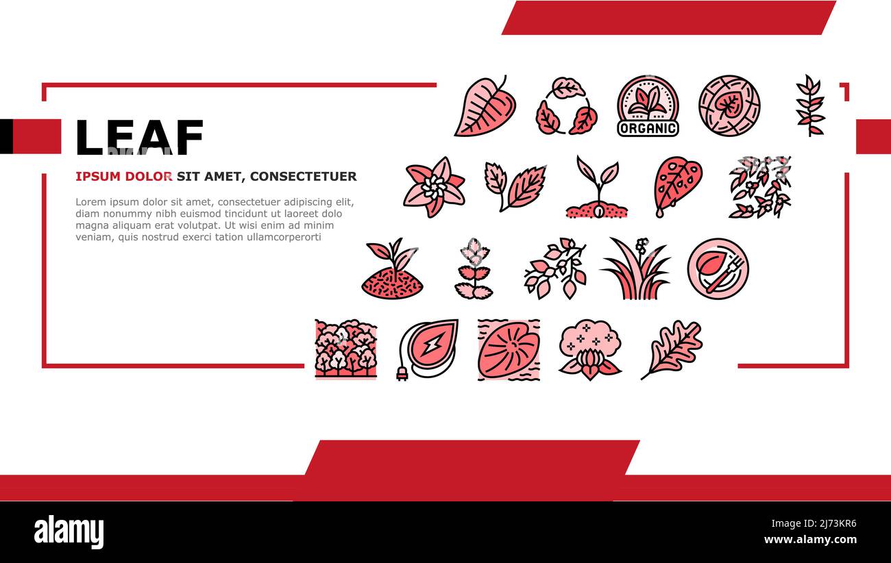 Leaf Branch Natural Foliage Tree Landing Header Vector Stock Vector ...