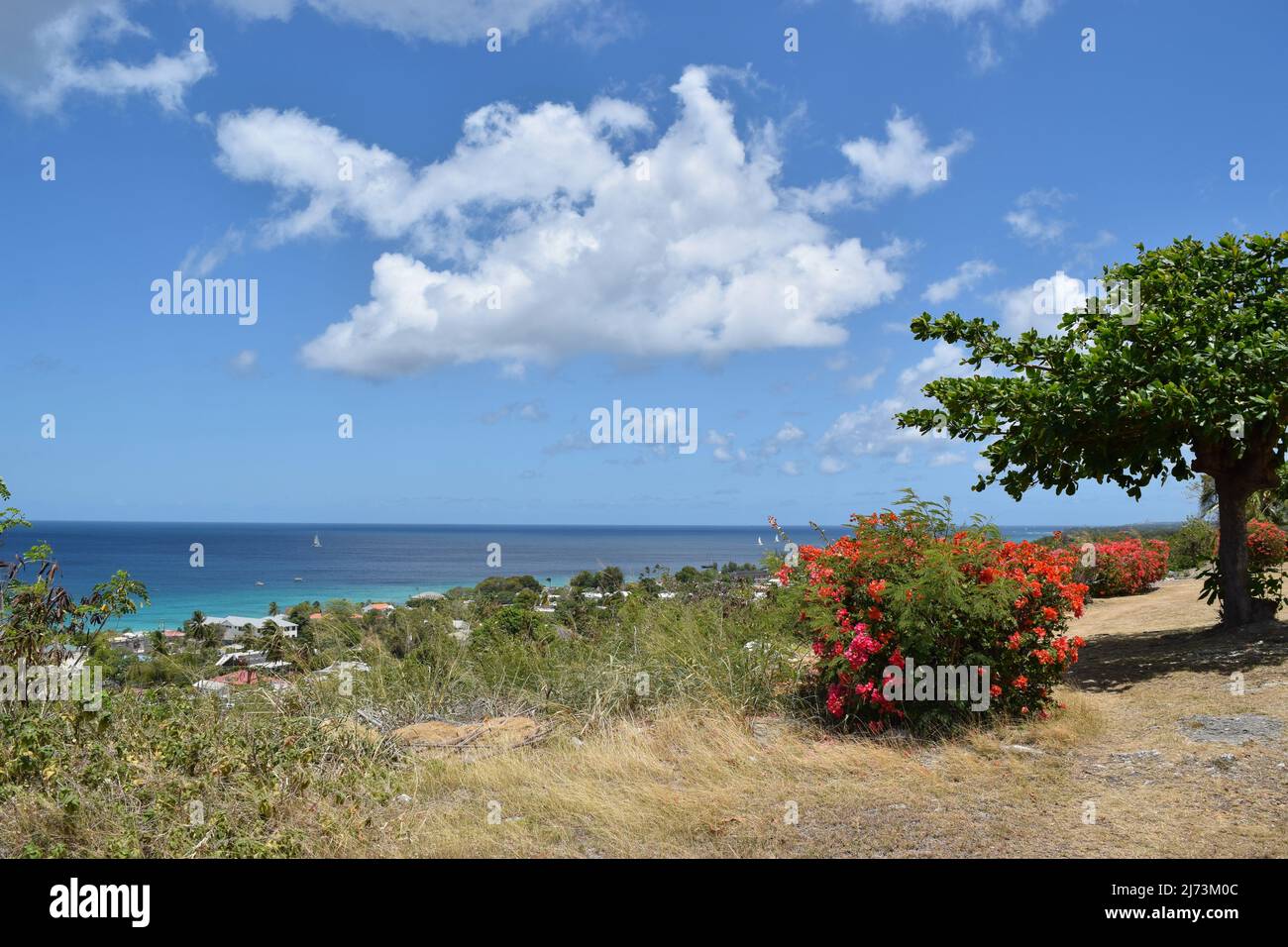 Gorgeous sea view with vegetation, houses and sky in Barbados Stock ...