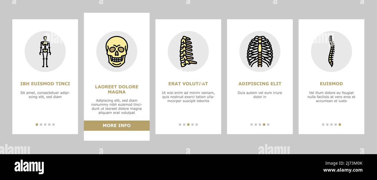 Bone Human Skeleton Structure Onboarding Icons Set Vector Stock Vector ...
