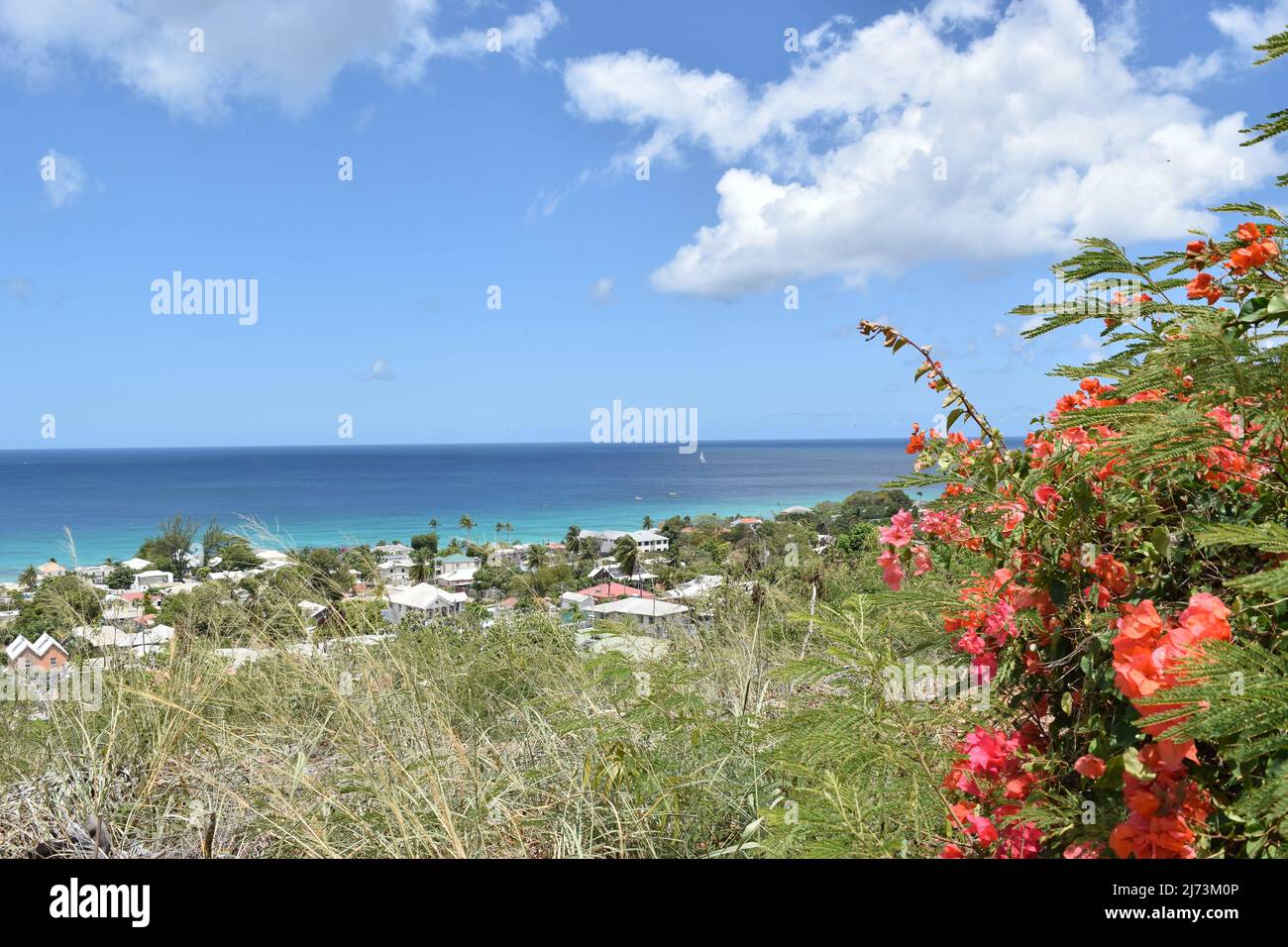 Gorgeous sea view with vegetation, houses and sky in Barbados Stock ...