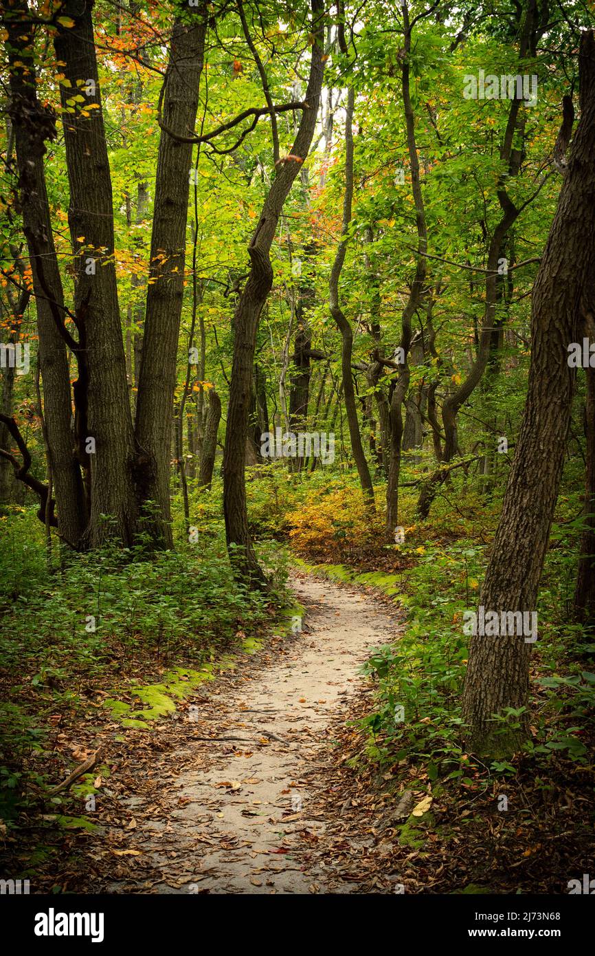 Matawan hi-res stock photography and images - Alamy