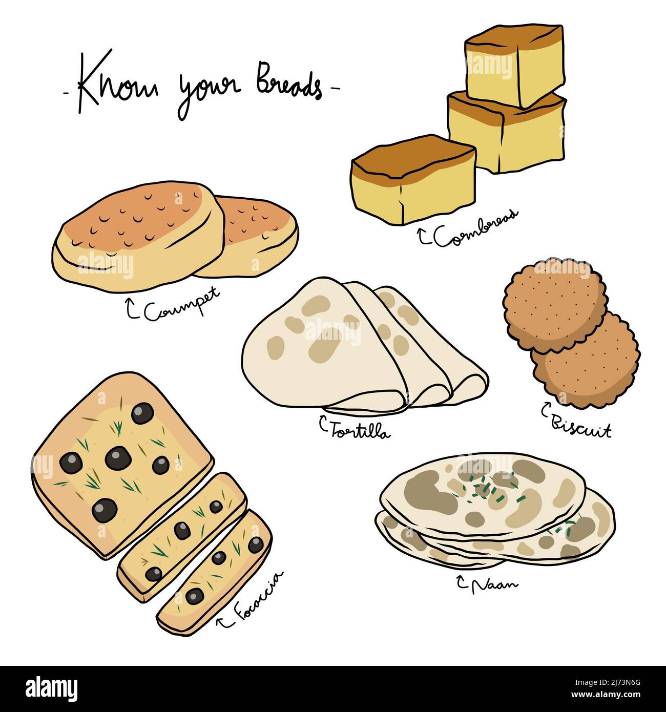 Know your breads chart vector illustration Stock Vector Image & Art - Alamy