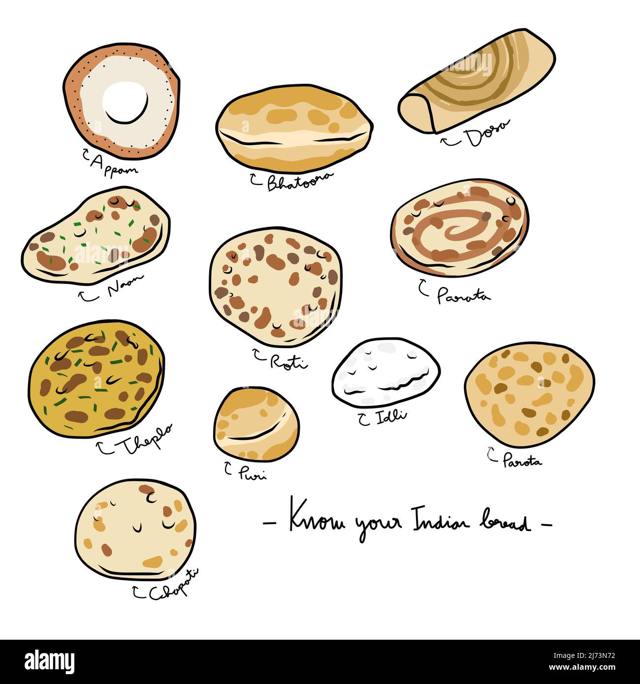 Know your Indian bread chart vector illustration Stock Vector Image ...