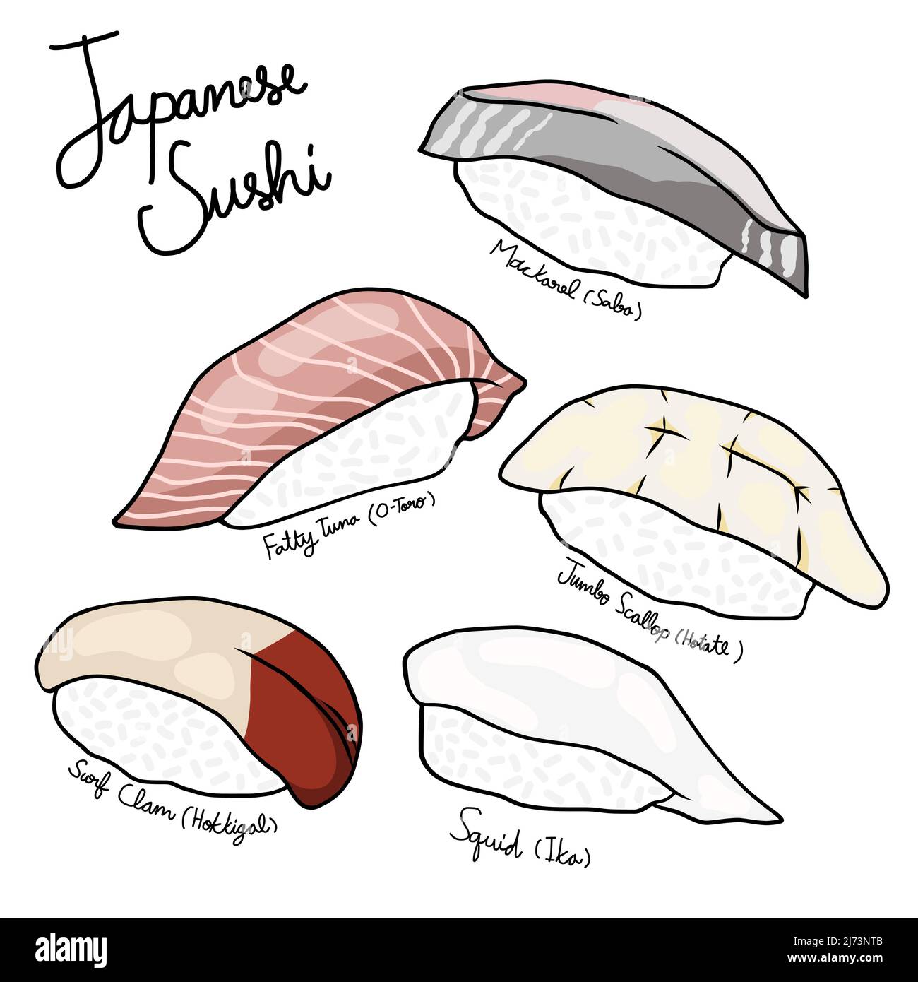 Japanese sushi drawing illustration Stock Vector Image & Art - Alamy